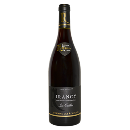 Bourgogne Irancy 2019 cépages Pinot Noir et César - En stock