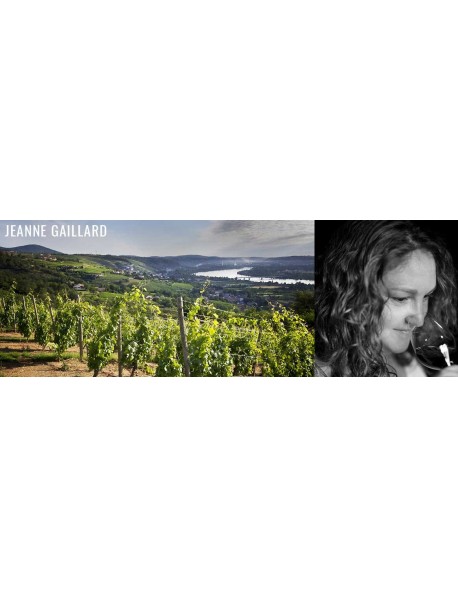 JEANNE GAILLARD | Grands vins de Côte-Rôte, Condrieu, Saint-Joseph