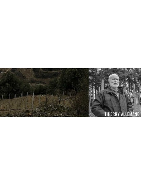 THIERRY ALLEMAND | Grands vins de Cornas