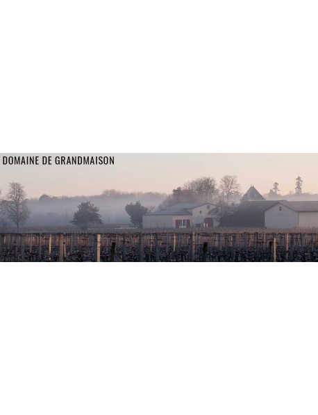 DOMAINE DE GRANDMAISON| Grands vins de Pessac-Léognan