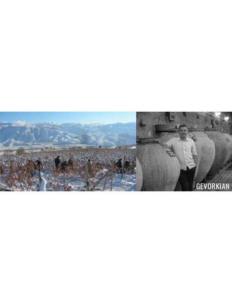 GEVORKIAN | Grands vins d'Arménie | Cépages Areni et Voskehat
