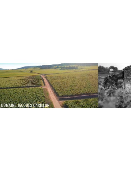 DOMAINE JACQUES CARILLON | Grands vins de Puligny-Montrachet